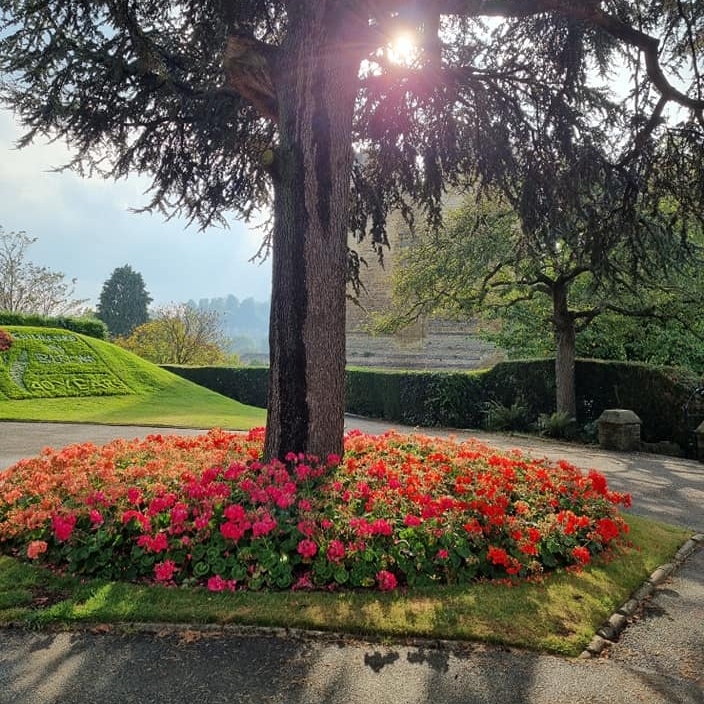 Gallery - Living Landscapes